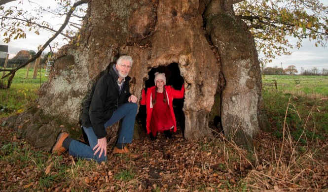 Frank’s Mighty Wickwar Oak Nominated For Tree Of The Year | CEMEX UK